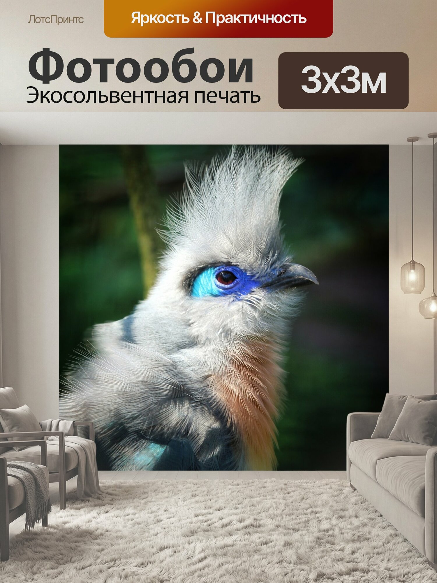Фотообои "Купола шелковые кукушка, кукушка, мадагаскар" 300x300 см. экосольвентная печать