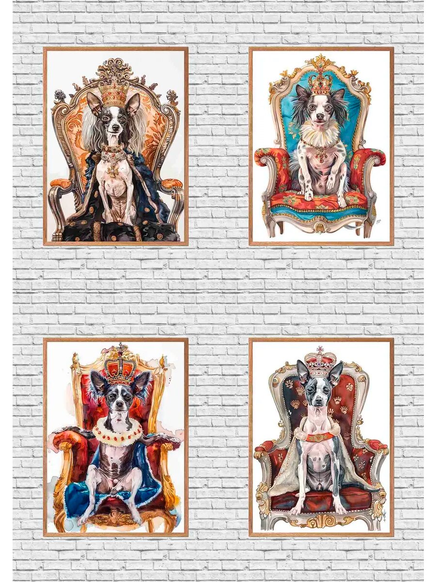 Китайская хохлатая собака король Англии, 4 Плаката, 30x21см