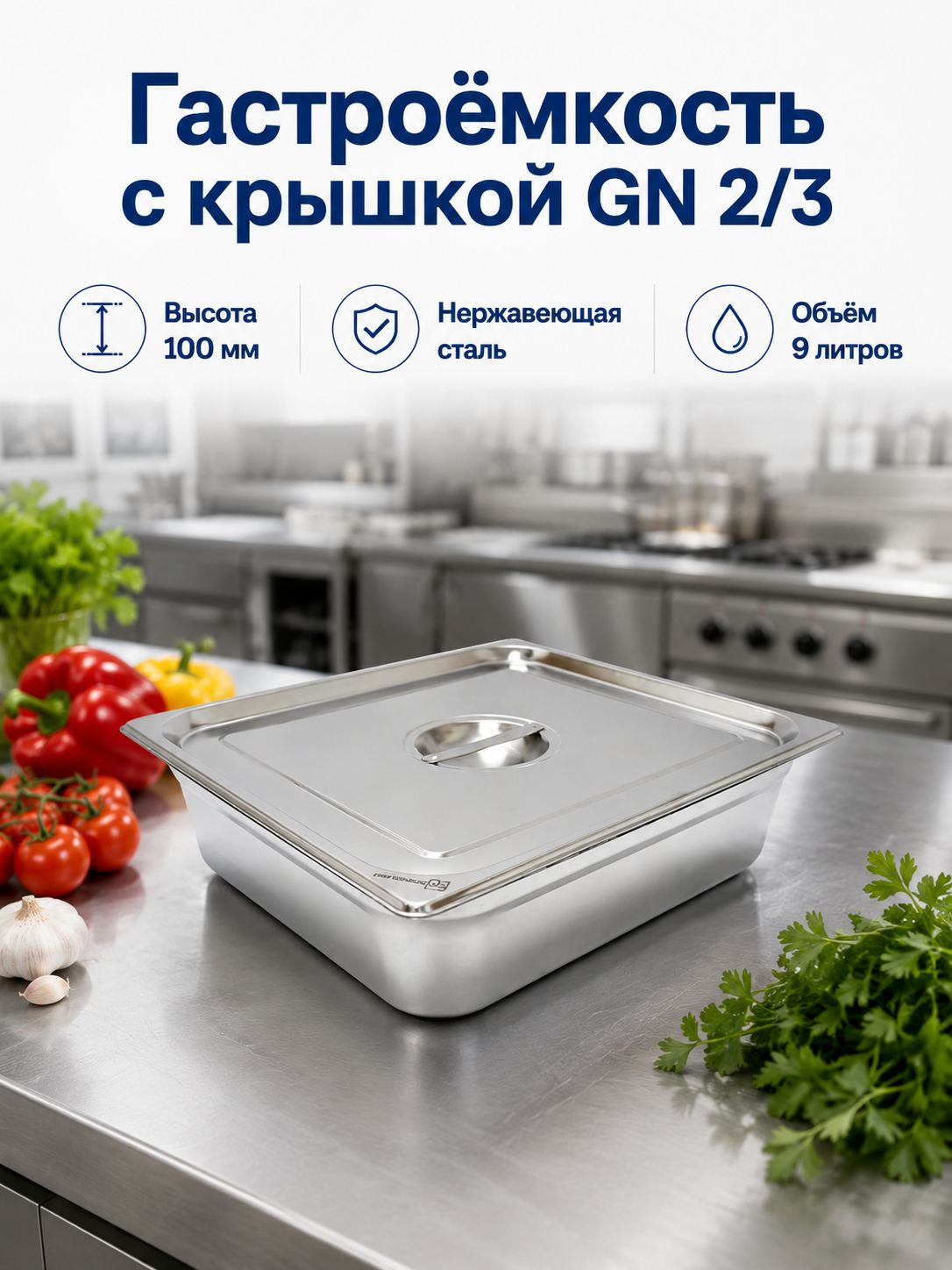 Гастроемкость GN 2/3-100 мм с крышкой, нержавеющая сталь