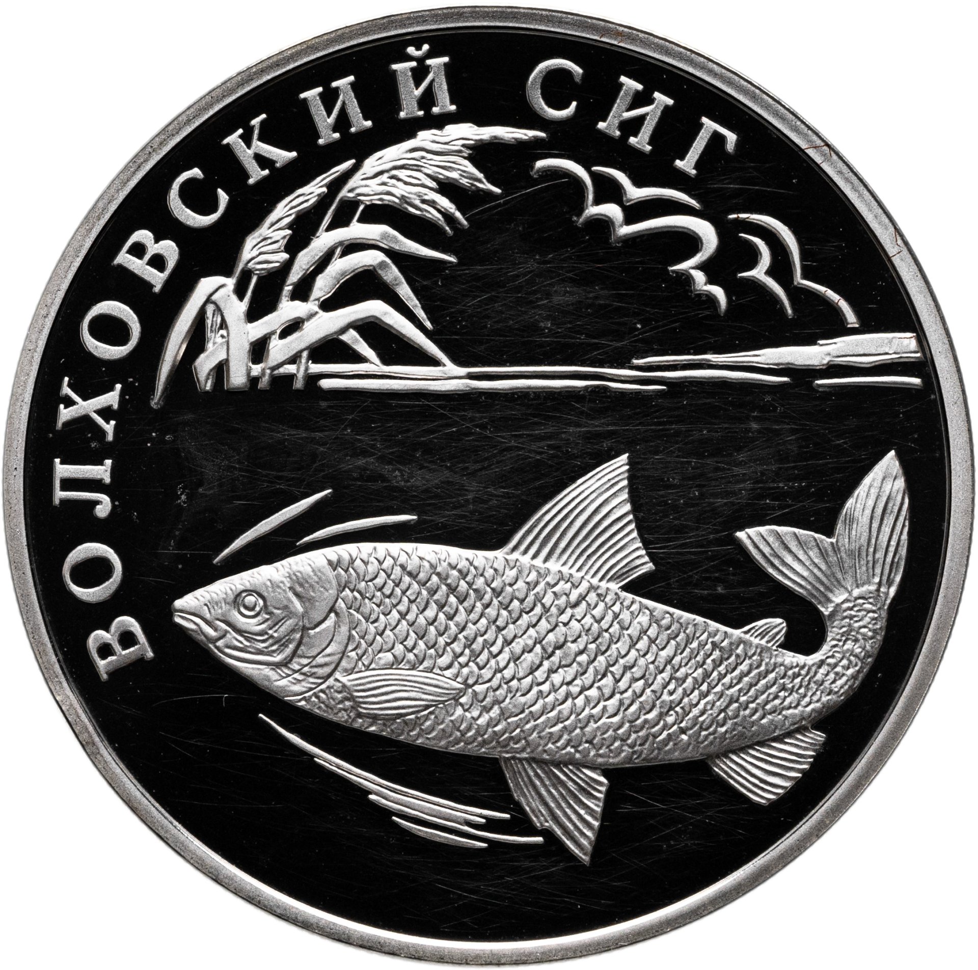 1 рубль 2005 СПМД Красная книга - Волховский сиг, Серебро 925, в сохранности Proof