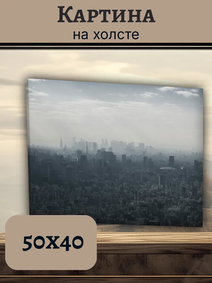 Картина Япония Japan 40x50 панорама Токио