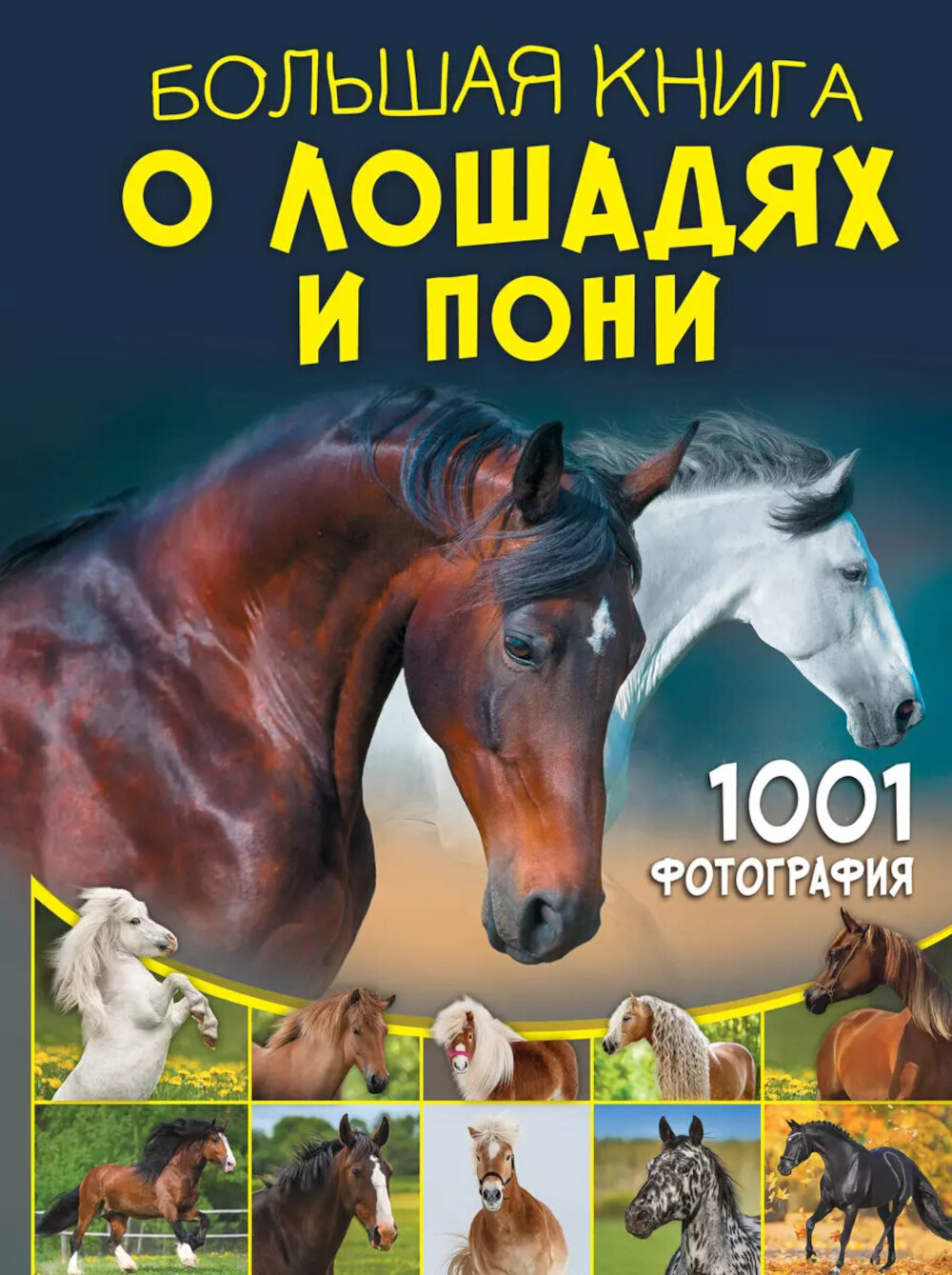 Уценка Большая книга о лошадях и пони. 1001 фотография. Спектор А.А.