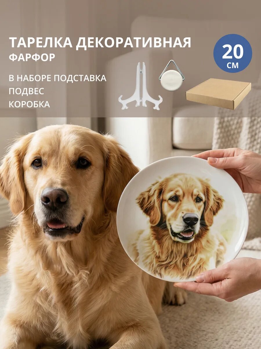 Тарелка декоративная фарфоровая 20 см Добрушский фарфор Миша