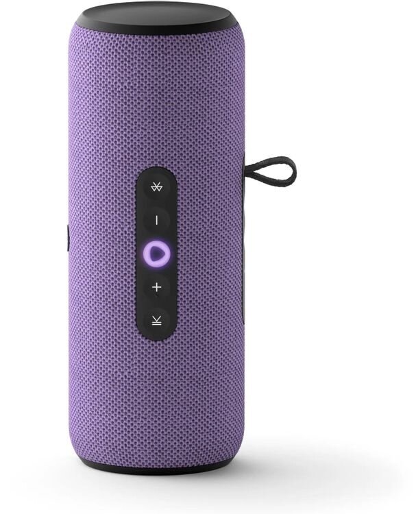 Умная колонка Яндекс Станция Стрит с Алисой, портативная, модель YNDX-00030VIO (фиолетовый)