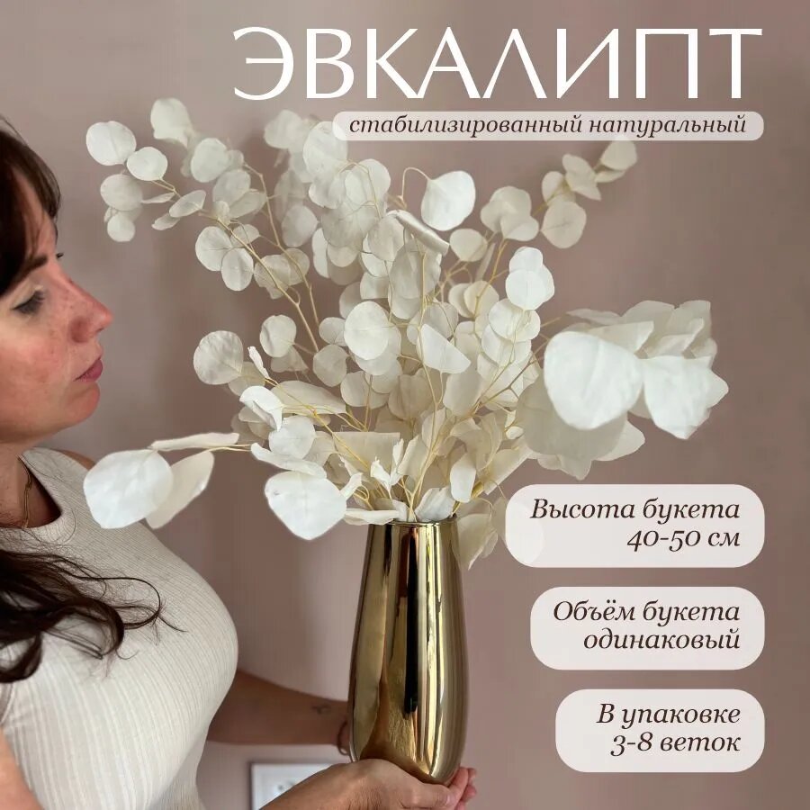 Сухоцветы Эвкалипт, 52 см, 200 гр, 3 шт