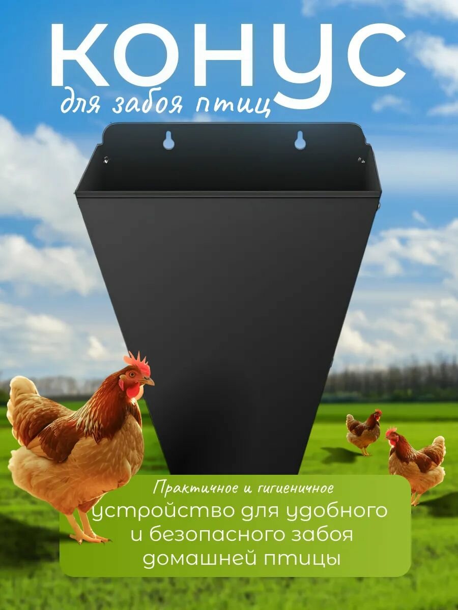 Разборная металлическая воронка для содержания домашней птицы