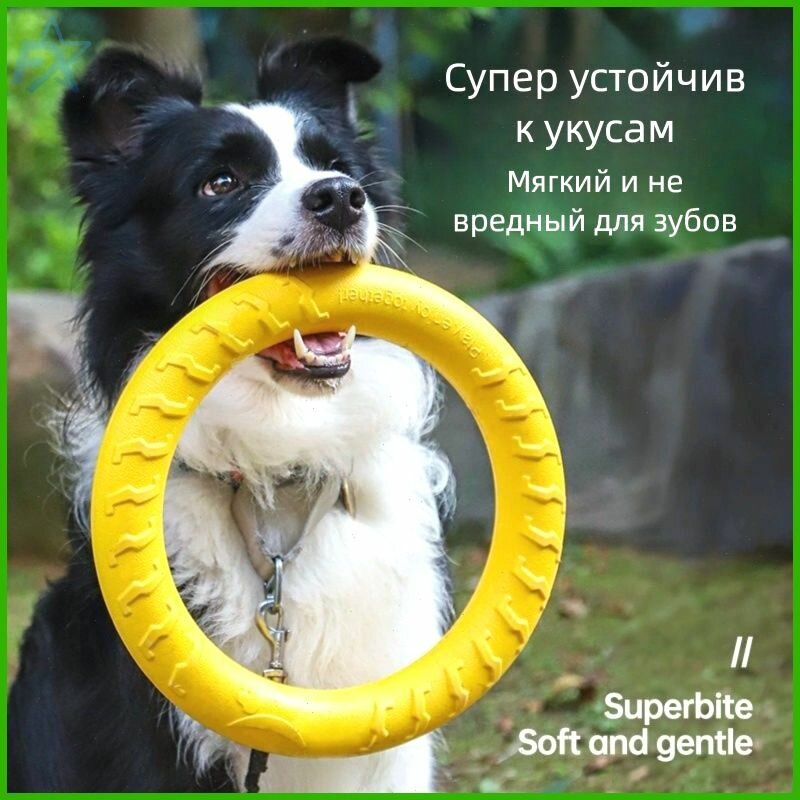 Супер прочная 3-в-1 игрушка для собак: Мяч, Фрисби, Кольцо! всех пород