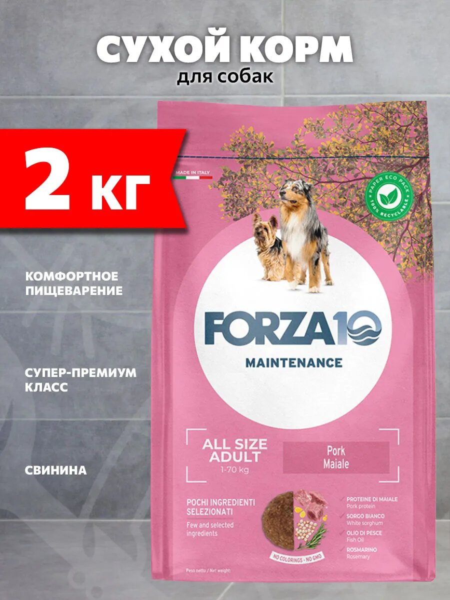 Корм сухой Forza10 Dog Maintenance Adult All Size для взрослых собак всех пород со свининой, 2 кг