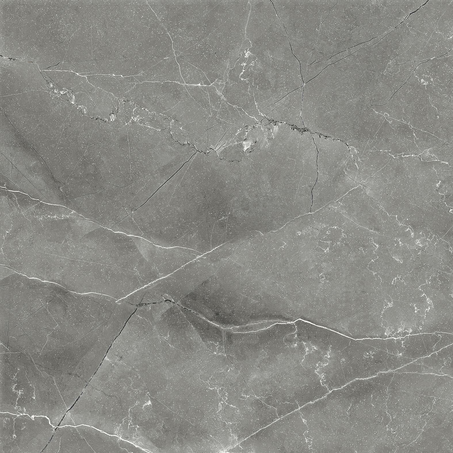 Керамогранит Arcadia Ceramica Pulpis Nero CR6011-A серый карвинг 60х60 см