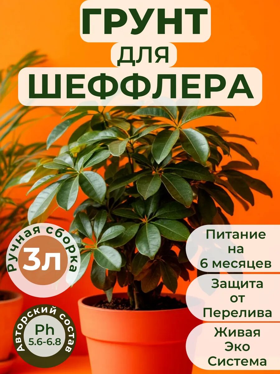 Готовый авторский грунт для Шеффлера, премиум 3 литра
