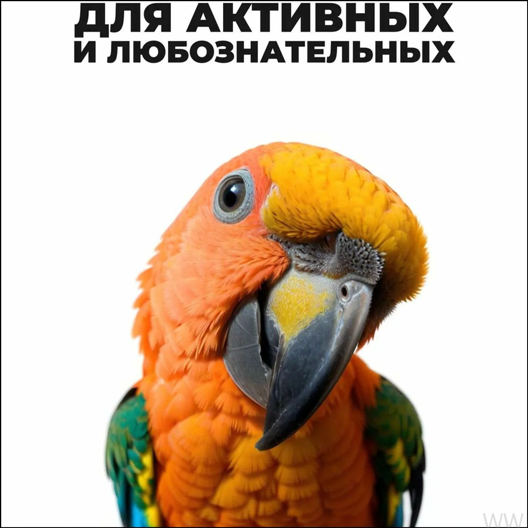 Игрушка для животных — фото 1