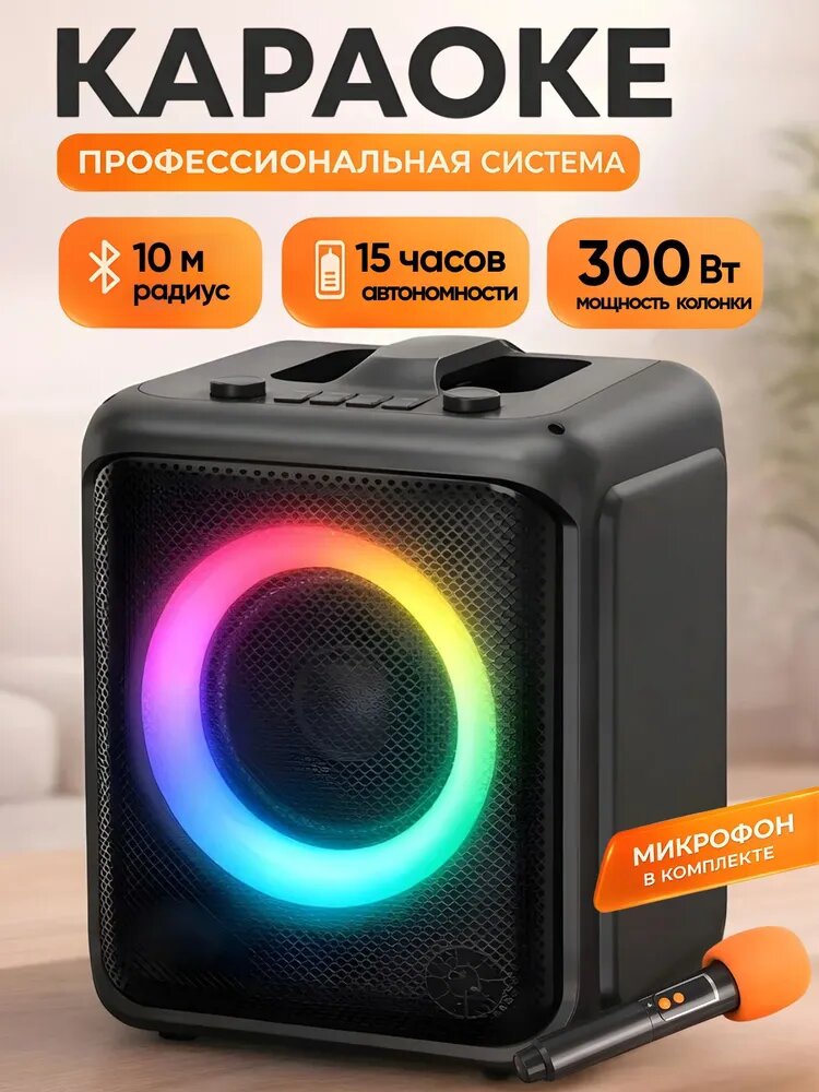 Караоке система с двумя микрофонами беспроводная