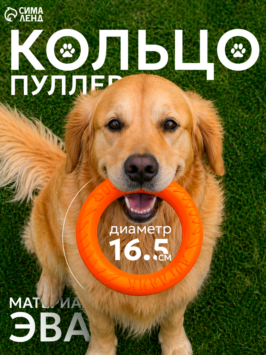 Кольцо «ДогЛайк» D-5195, 8-мигранное, миниатюрное, ⌀ 16.5 см