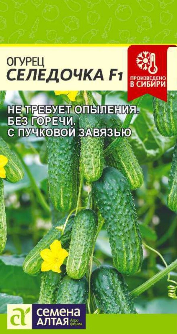 Семена огурца Семена Алтая раннеспелый партенокарпический гибрид, Селедочка F1, бугорчатый, 5 шт