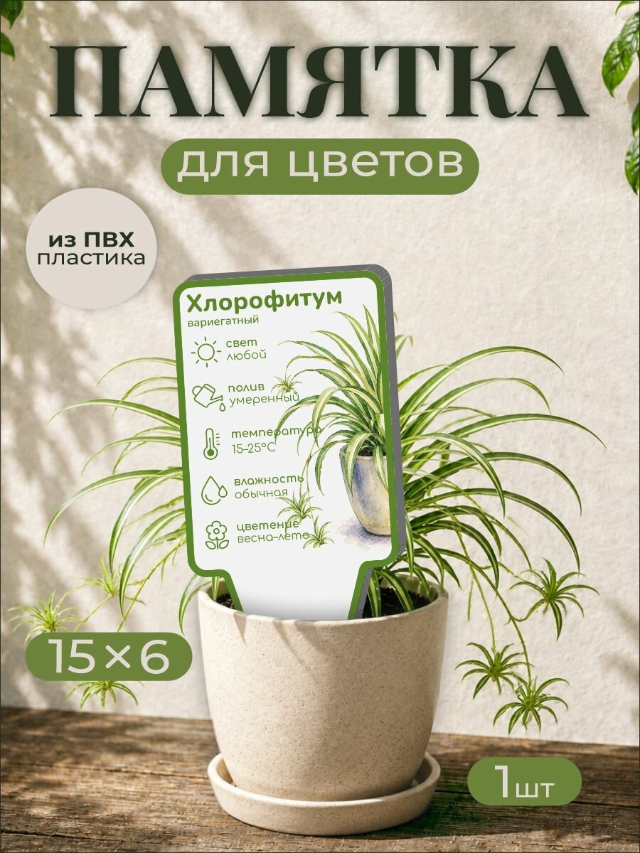 Фигурки для сада Хлорофитум