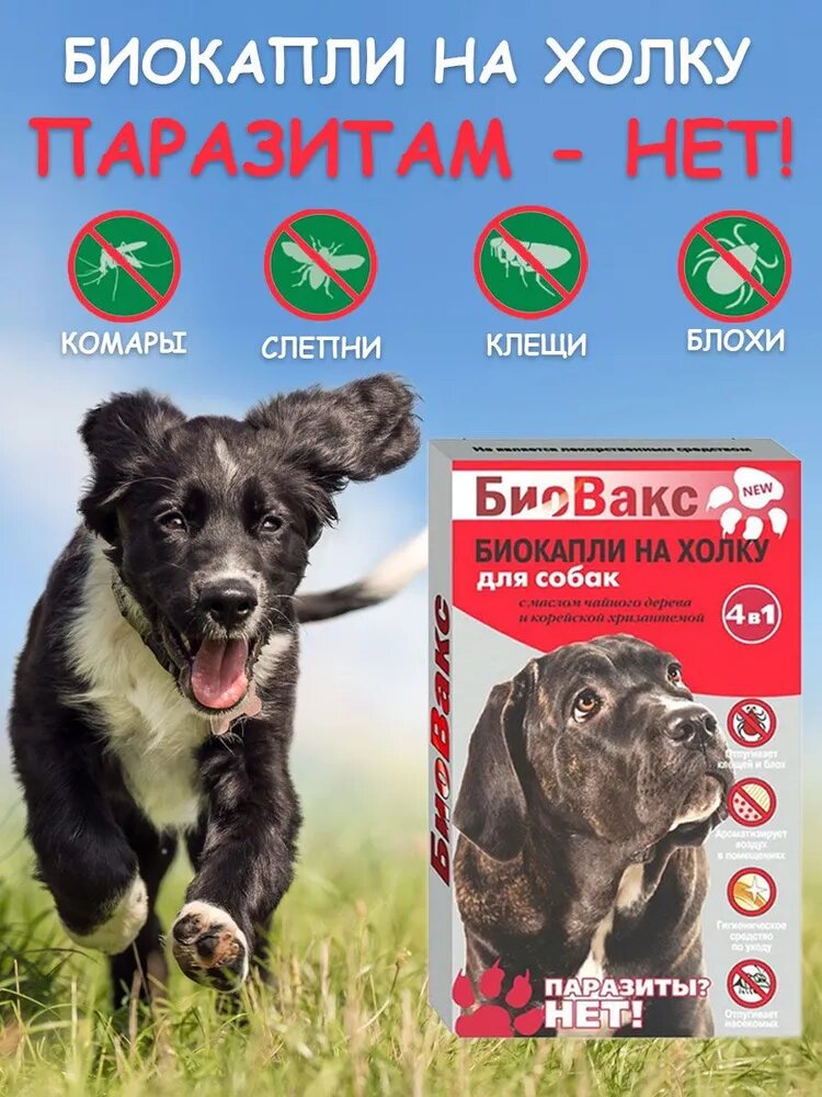 Биокапли на холку от клещей, блох/Капли от власоедов, комаров, слепней, мух на основе натуральных масел и растений антипаразитные для собак "4в1" 3 ампулы по 1 мл.