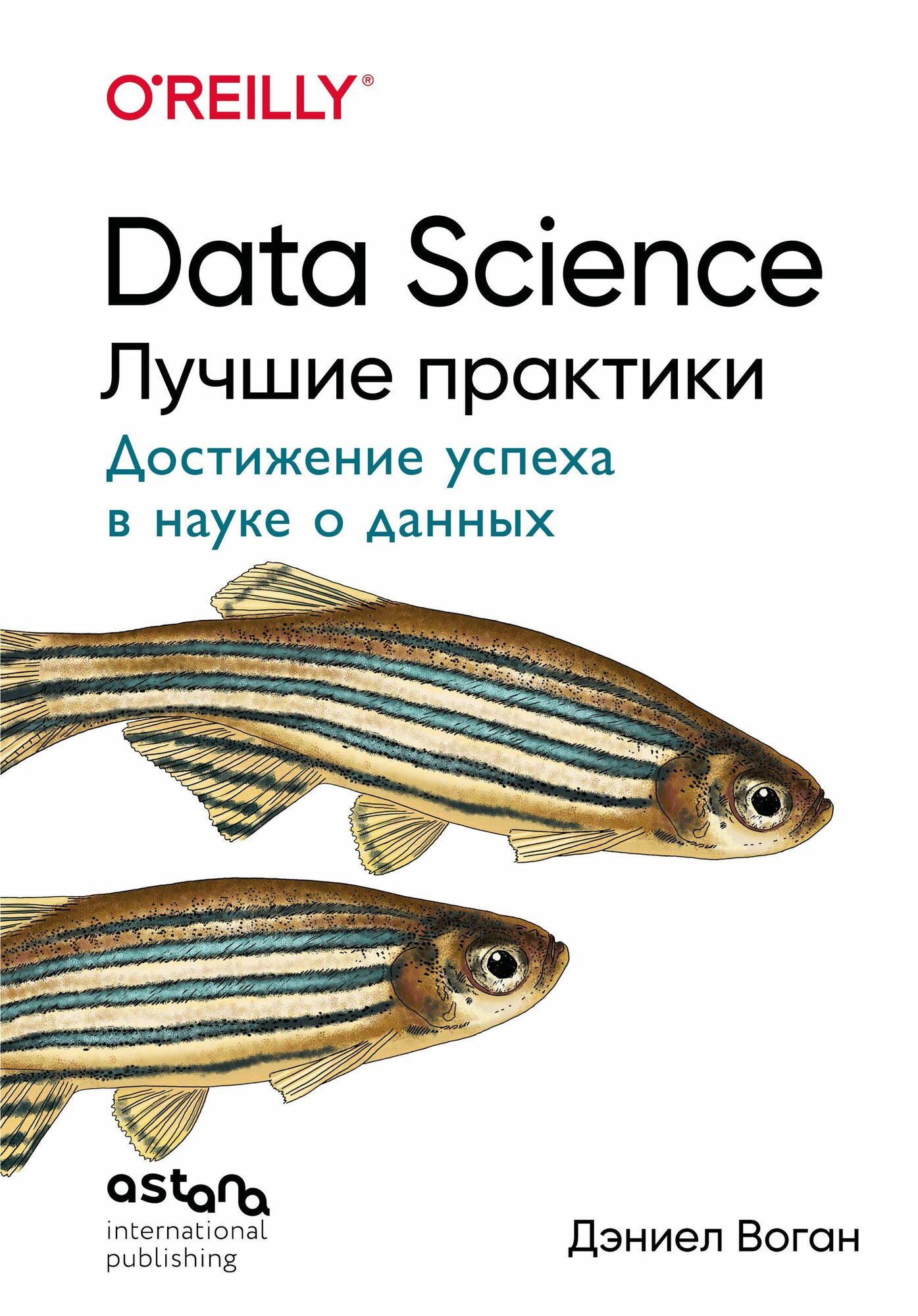 Data Science. Лучшие практики — фото 1