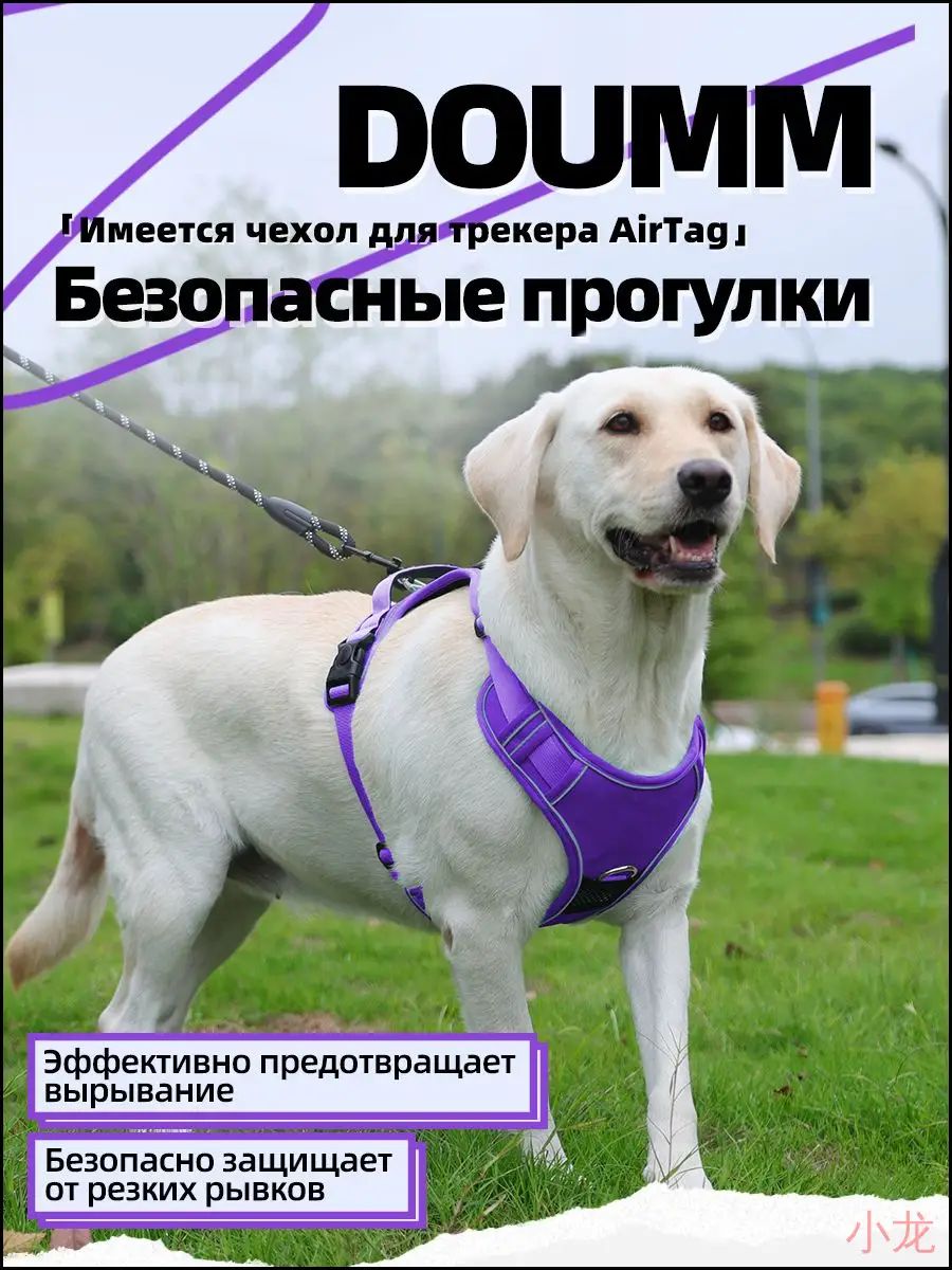 Повседневный ремень для животных, Артикул: 5554987996, Размер одежды/аксессуара для животных: L