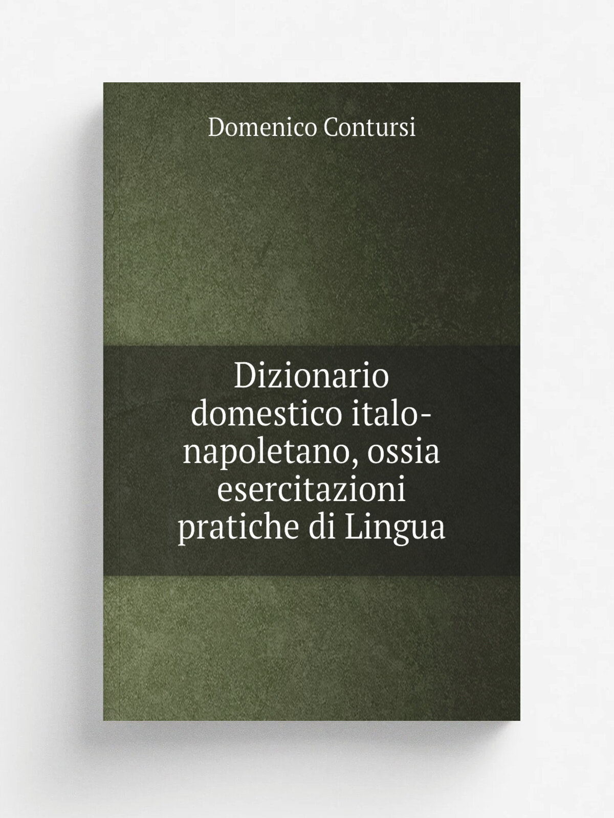 Dizionario domestico italo-napoletano, ossia esercitazioni pratiche di Lingua