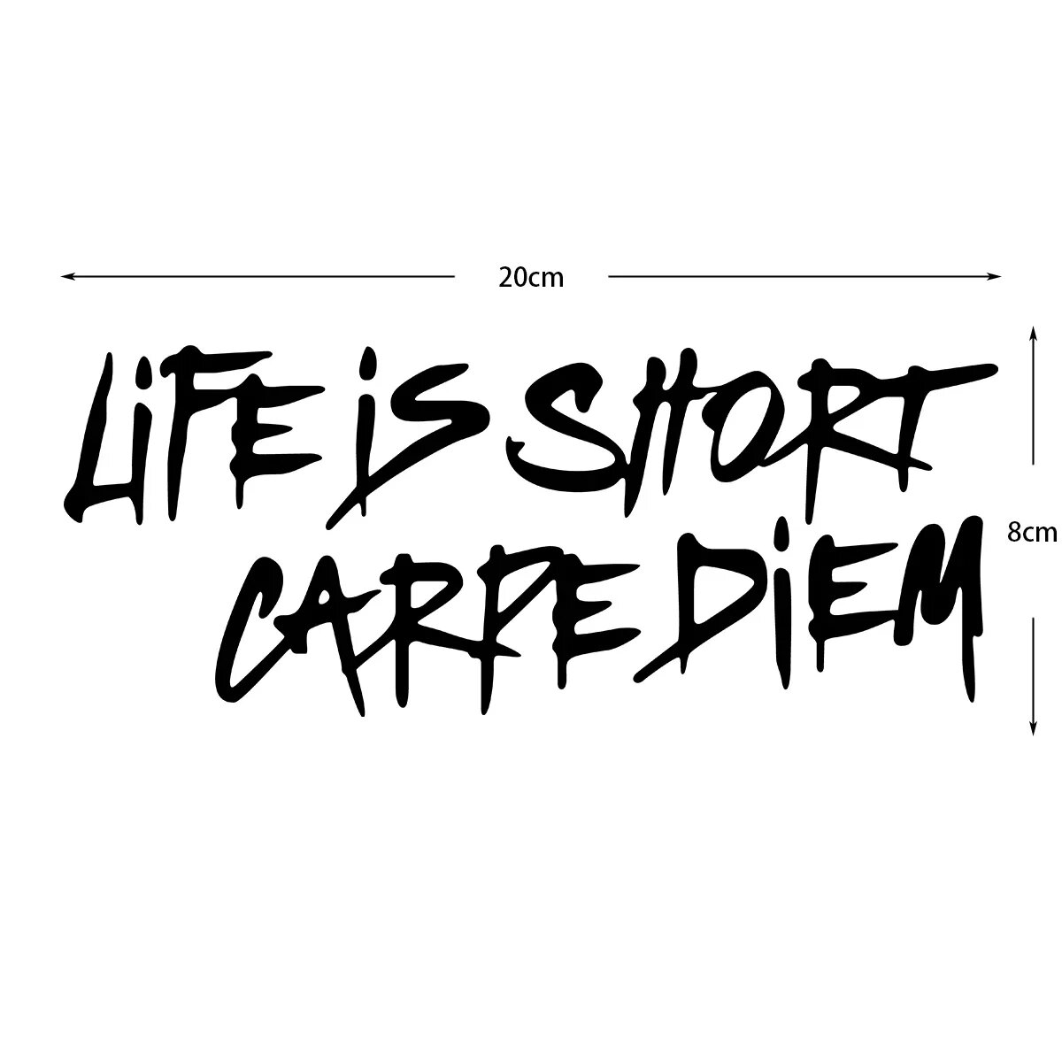 Виниловая Наклейка Carpe Diem «Жизнь Коротка, Наслаждайся Моментом» (1 Шт.), Водонепроницаемая 2