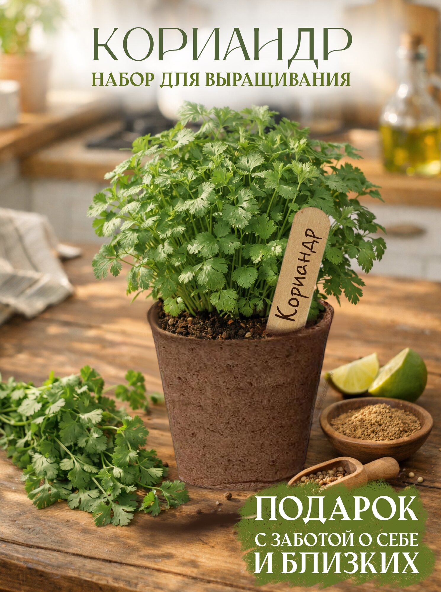 Набор для выращивания специй и пряных трав на подоконнике Кориандр, кинза