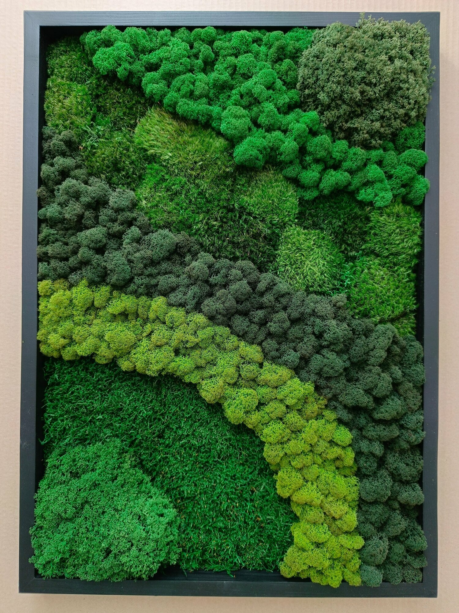 Панно/картина из мха /70*50/"Зеленая мечта XL"