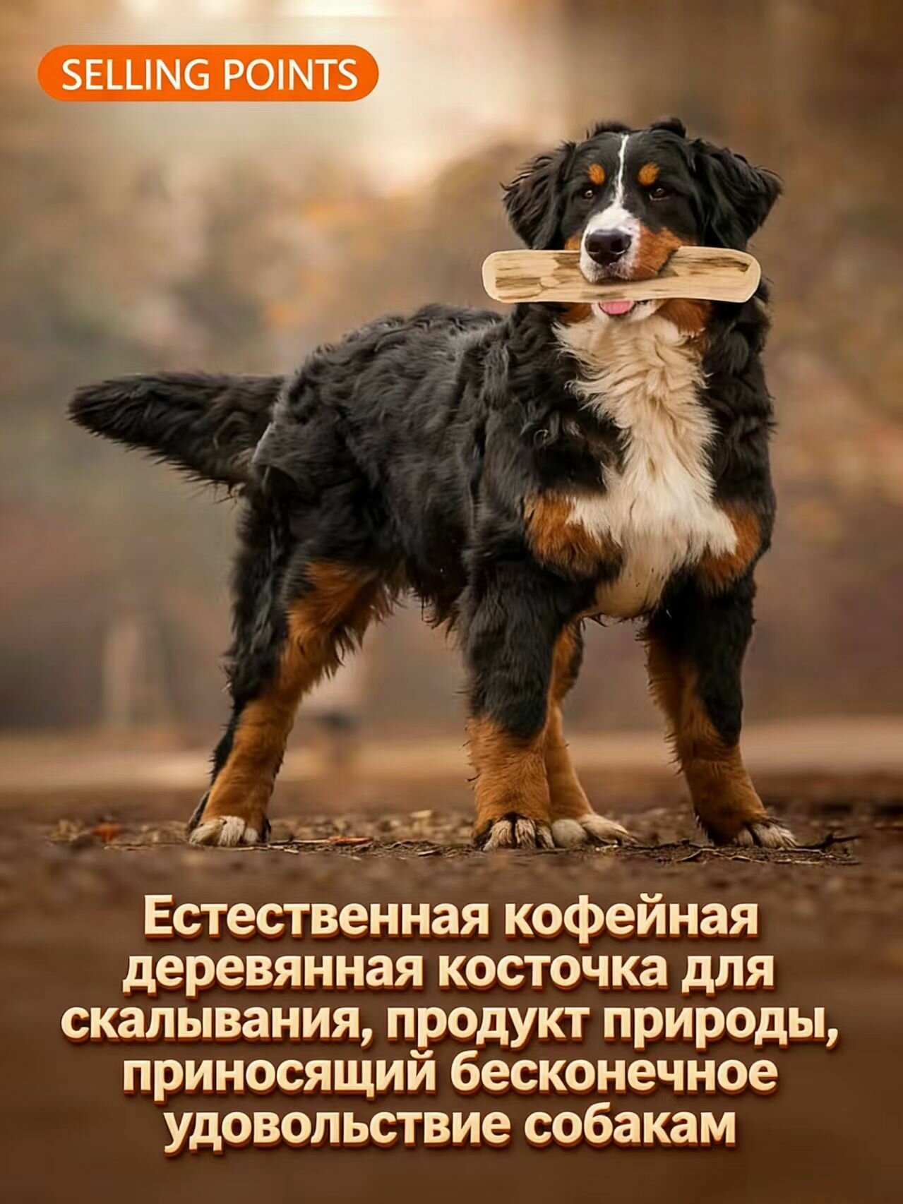 Игрушка для собак - палочка кофейного дерева Ёжки-Палки / Жевательные игрушки для чистки зубов палочка кофейного дерева жевательная игрушка для собак игрушка для чистки зубов