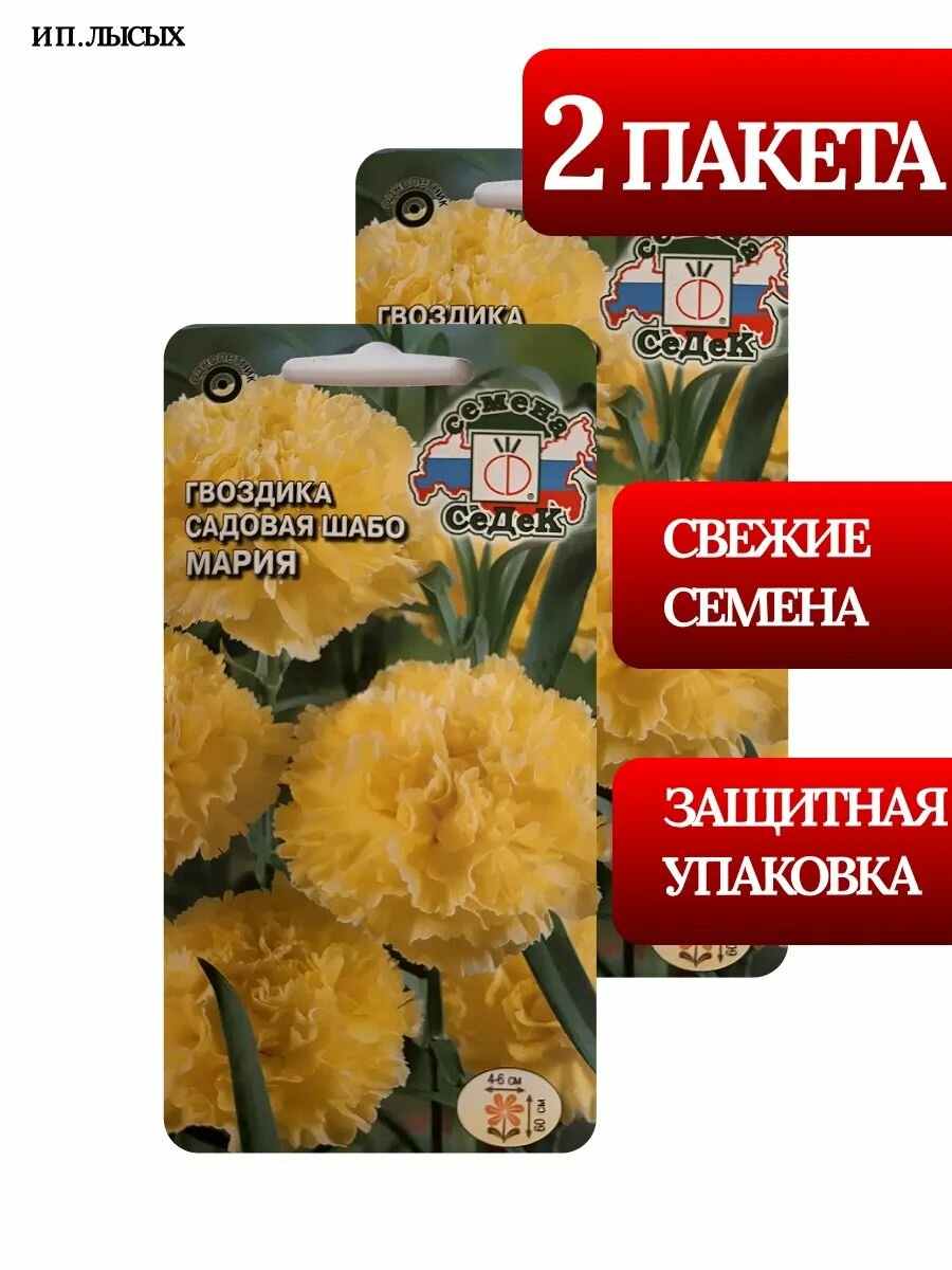 Семена Гвоздика "Мария"