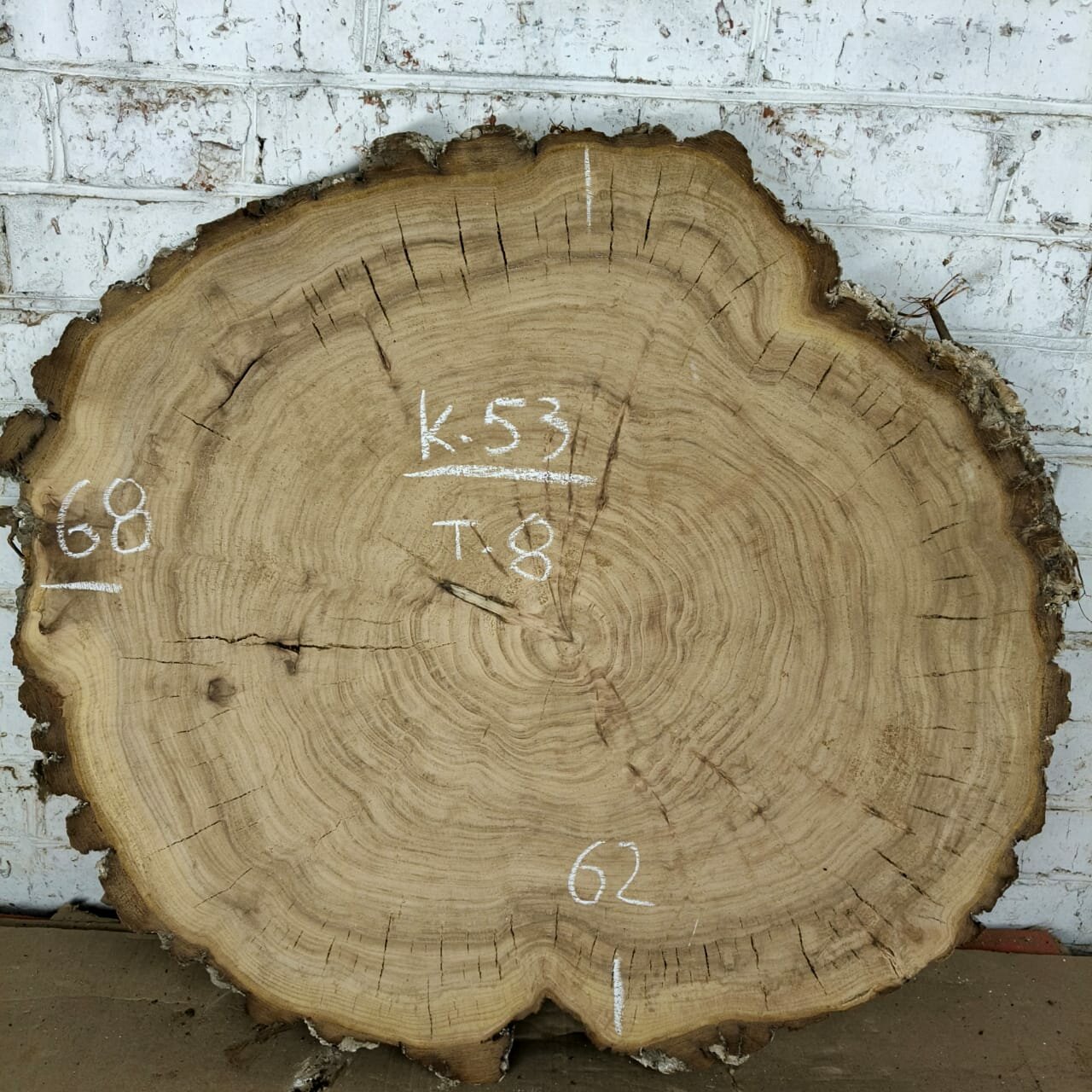 Торцевой спил дерева Карагач К-53, диаметр 62-68 см, выровнен в плоскости