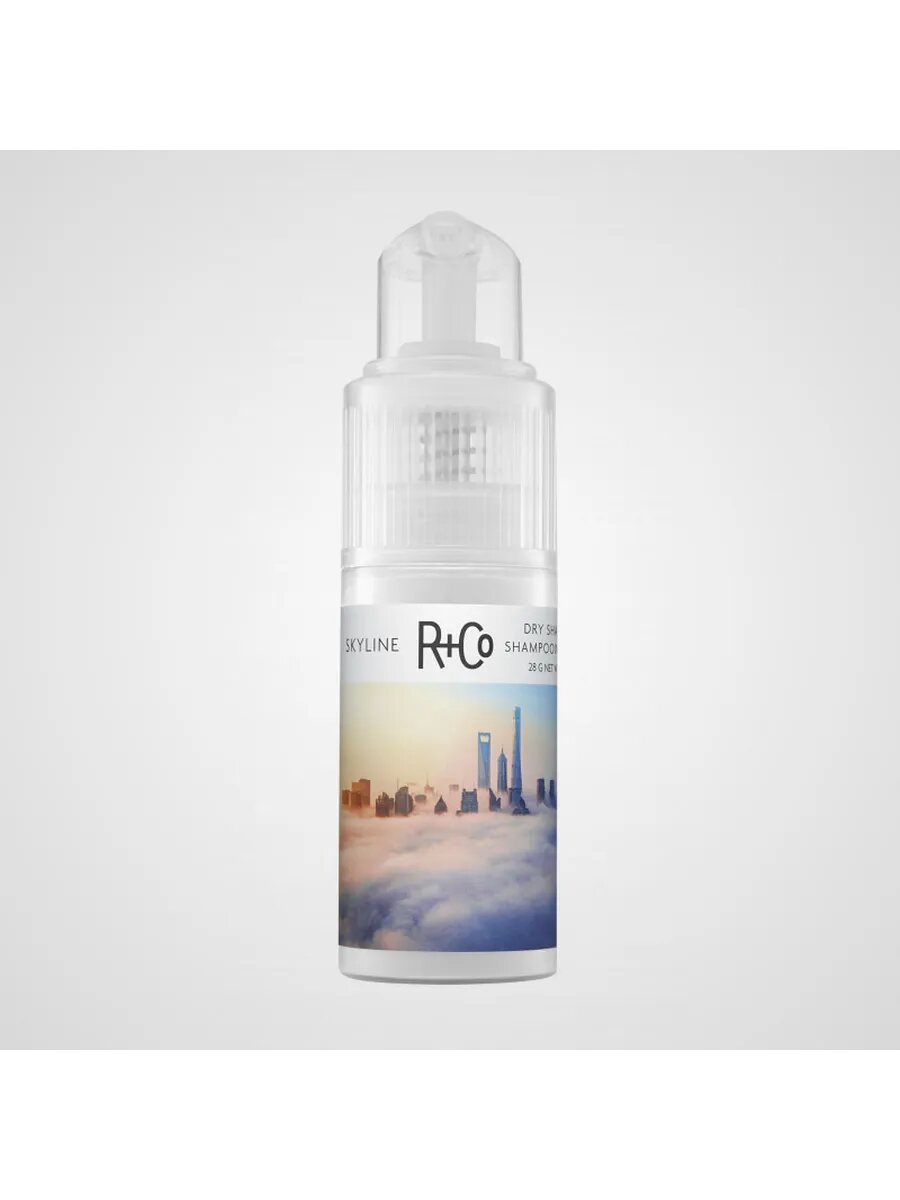 R+Co Skyline Dry Shampoo Powder Шампунь 28 мл