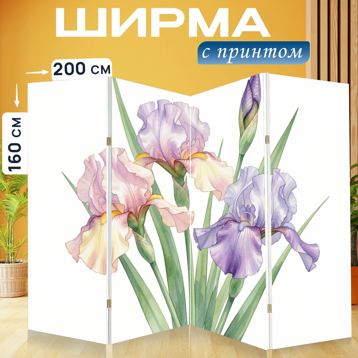 Ширма "Ирисы в нежных пастельных тонах. Нежная акварельная композиция с цветущими ирисами и длинными зелёными." перегородка для зонирования комнаты с принтом 200x160 см. на холсте