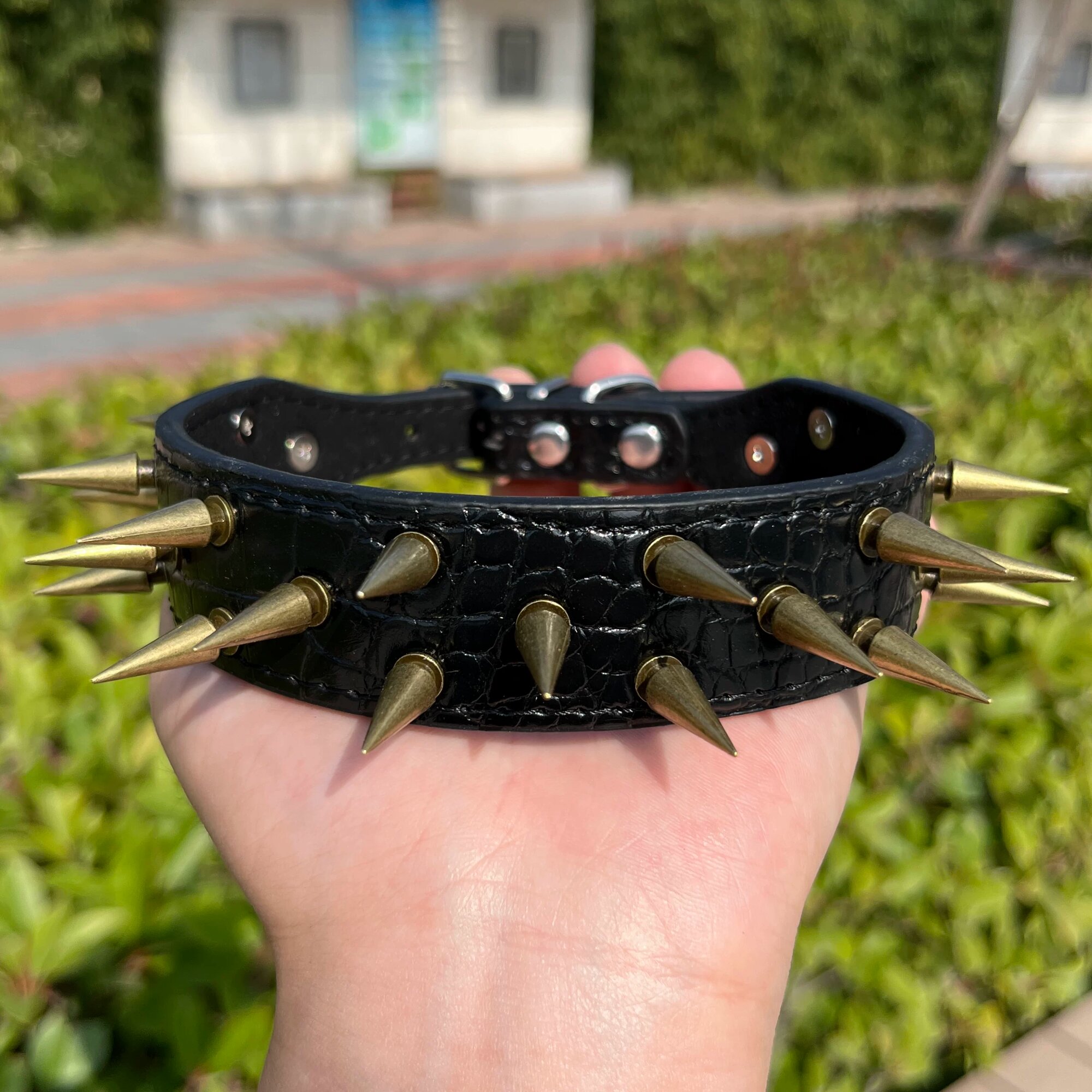 Ошейник для маленьких собак и кошек с защитой от укусов, с металлическими шипами и заклепками. Чёрный воротник с
