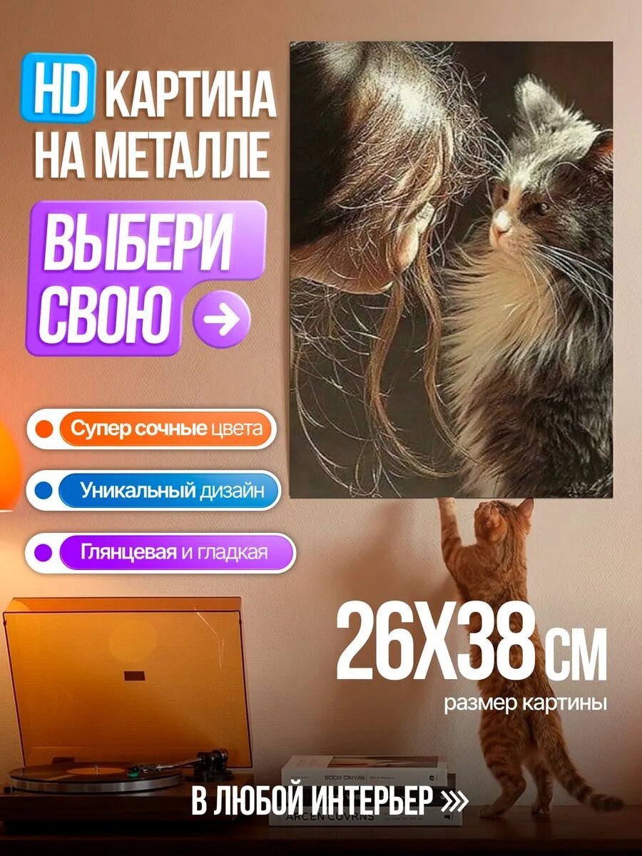 Картина на HD металле Девочка и кот