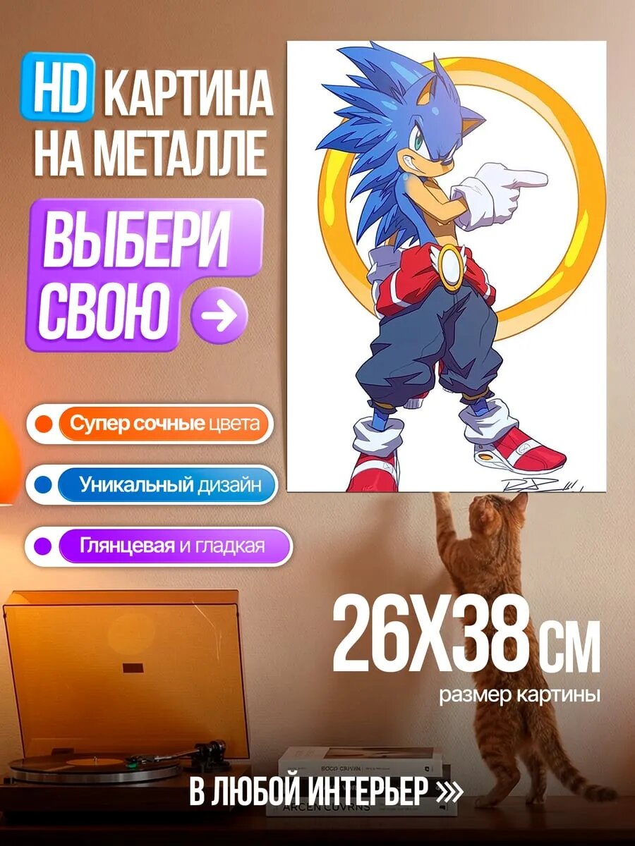 Картина на HD металле Соник золотое кольцо