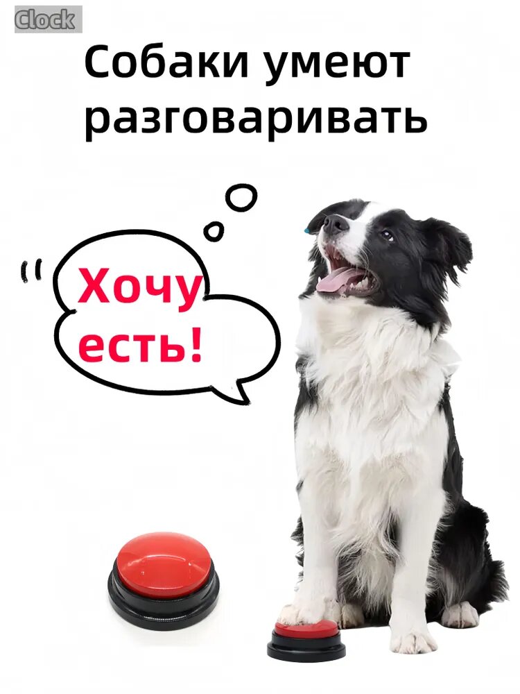 Кнопка для собак жрать хочу, кушать хочу, для дрессировки животных, с записью голоса, звуковая кнопка, кликер для собак