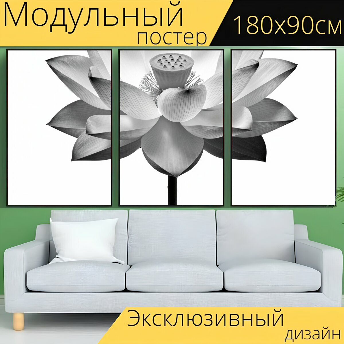 Модульный постер "Белый лотос в минимализме. Изящный монохромный цветок лотоса с крупными лепестками и семенной чашей, выполненный в." 180 x 90 см. для интерьера на стену в тубусе