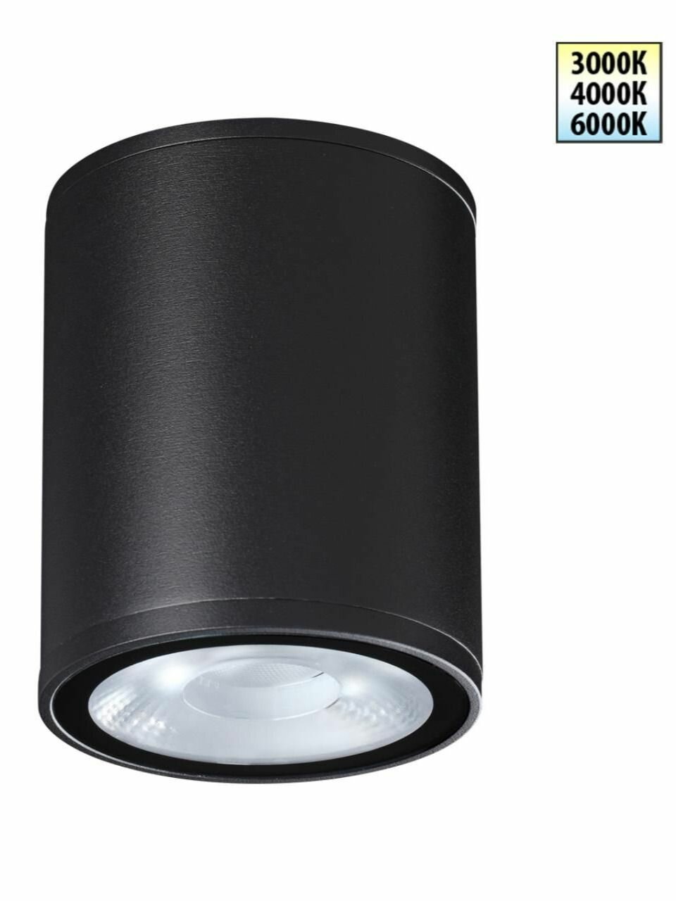 Светильник потолочный светодиодный уличный Novotech 359535 IP65 10Вт 100-240В 3000К/4000К/6000К