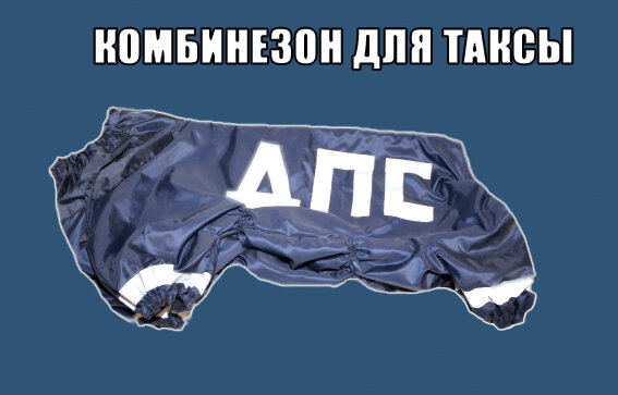 Комбинезон-дождевик для таксы карликовой суки, повышенной прочности, с надписью ДПС