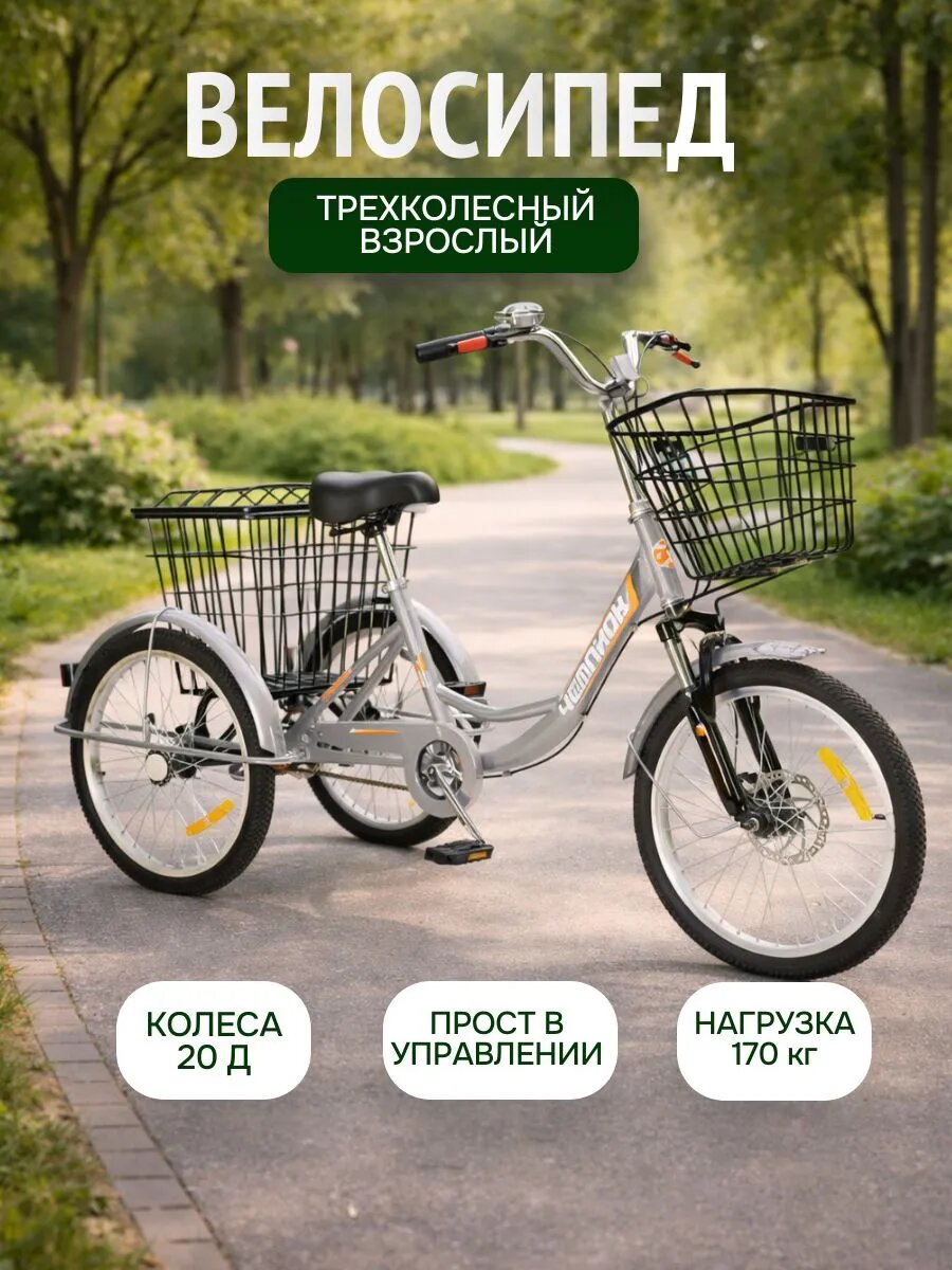 Трехколесный велосипед взрослый серебро складной РВЗ Чемпион 20