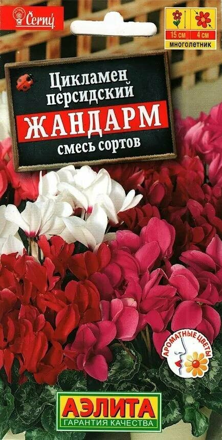 Семена цикламена Аэлита Жандарм, многолетний клубневый, 3 шт