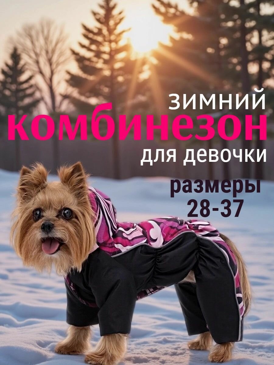 Комбинезон для собак. Девочка. Размер 28. Малина/узор.