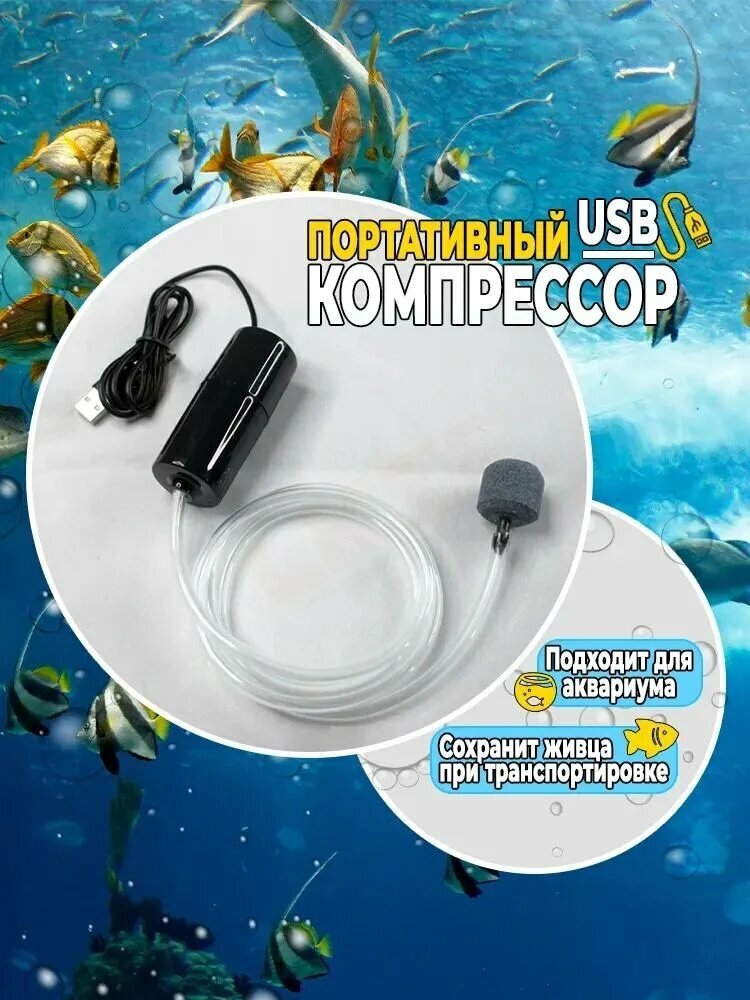 Компрессор для аквариума и живца USB. Аэратор для аквариума с компрессором