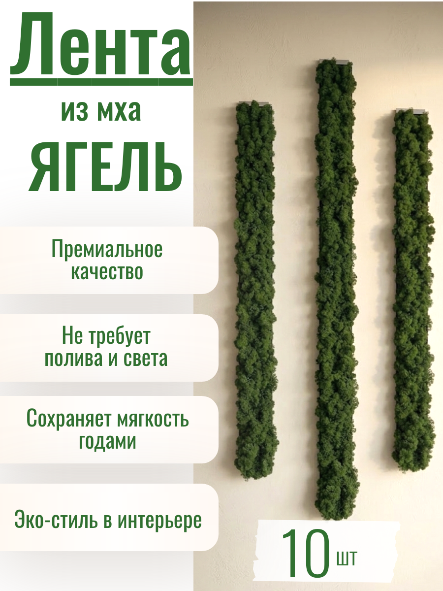 Лента из стабилизированного мха на скотче 4х60 см 10шт в комплекте