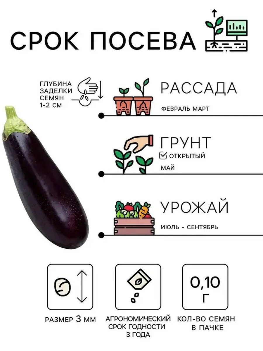 Семена баклажана для богатого урожая