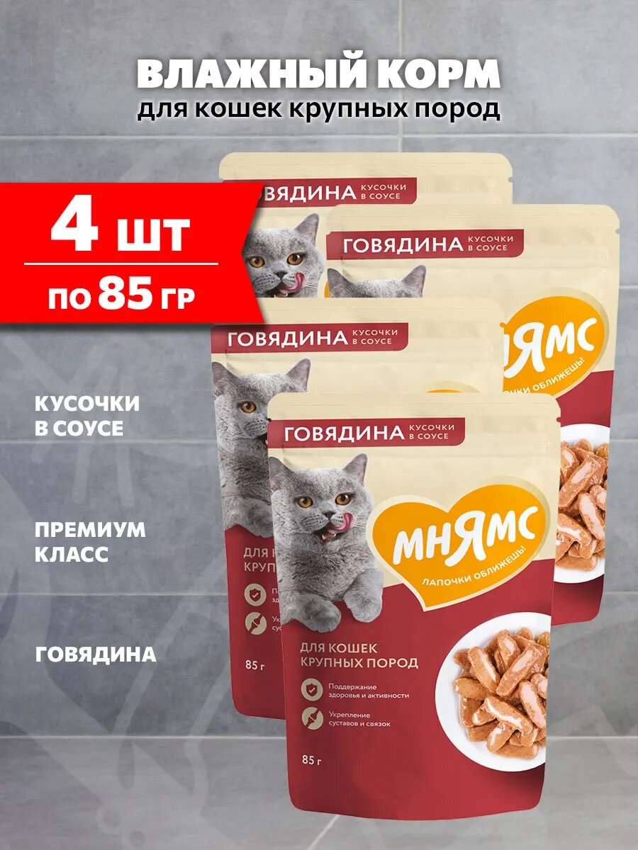Корм влажный Мнямс для взрослых кошек крупных пород, говядина в соусе, 85 г х 4 шт