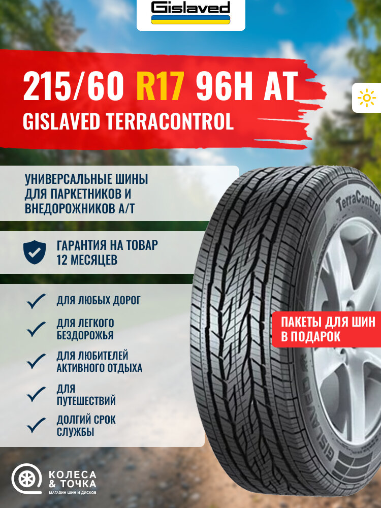 GISLAVED TERRACONTROL 215/60R17 96H Защита диска A/T (лето) (471585)