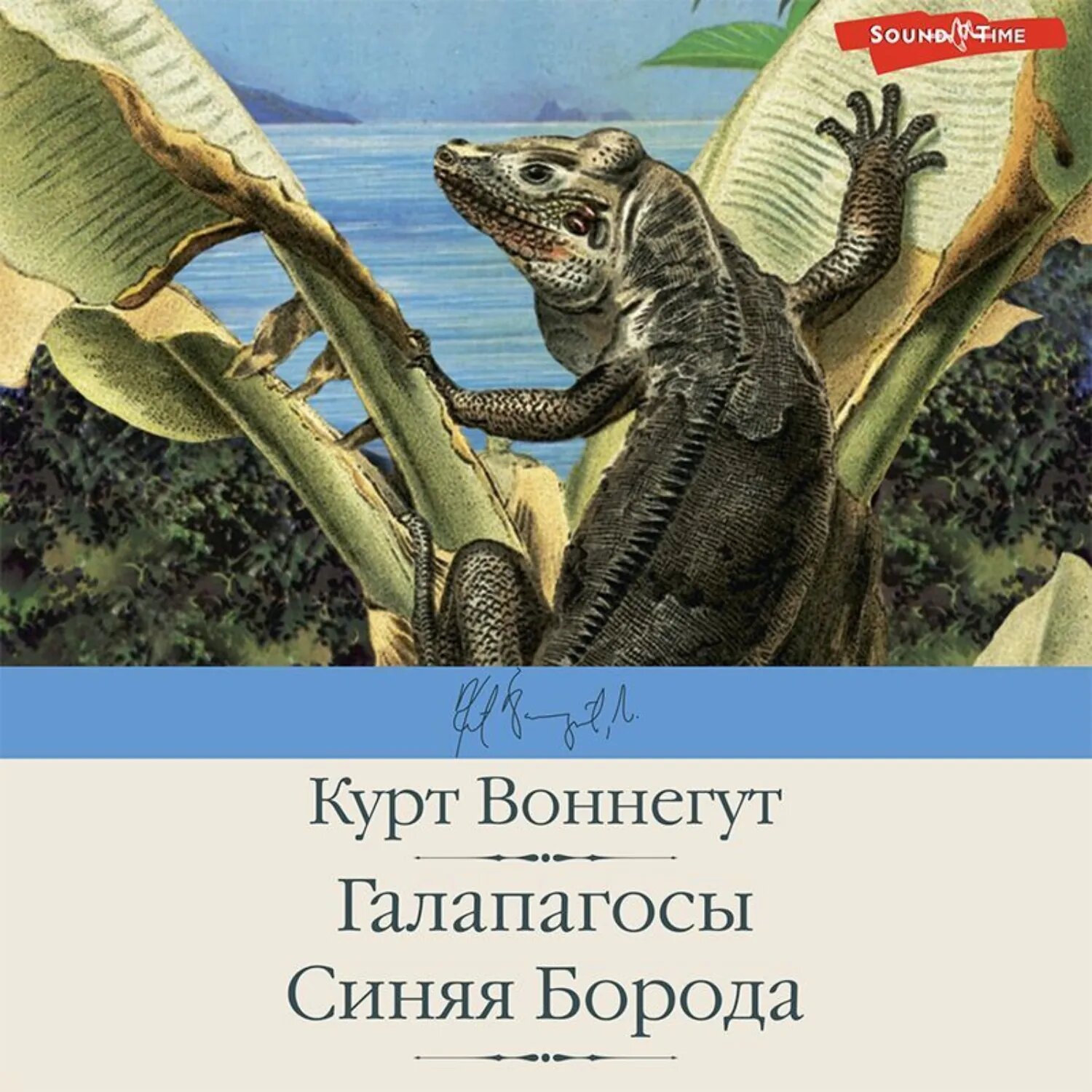 Галапагосы. Синяя Борода [Аудиокнига]