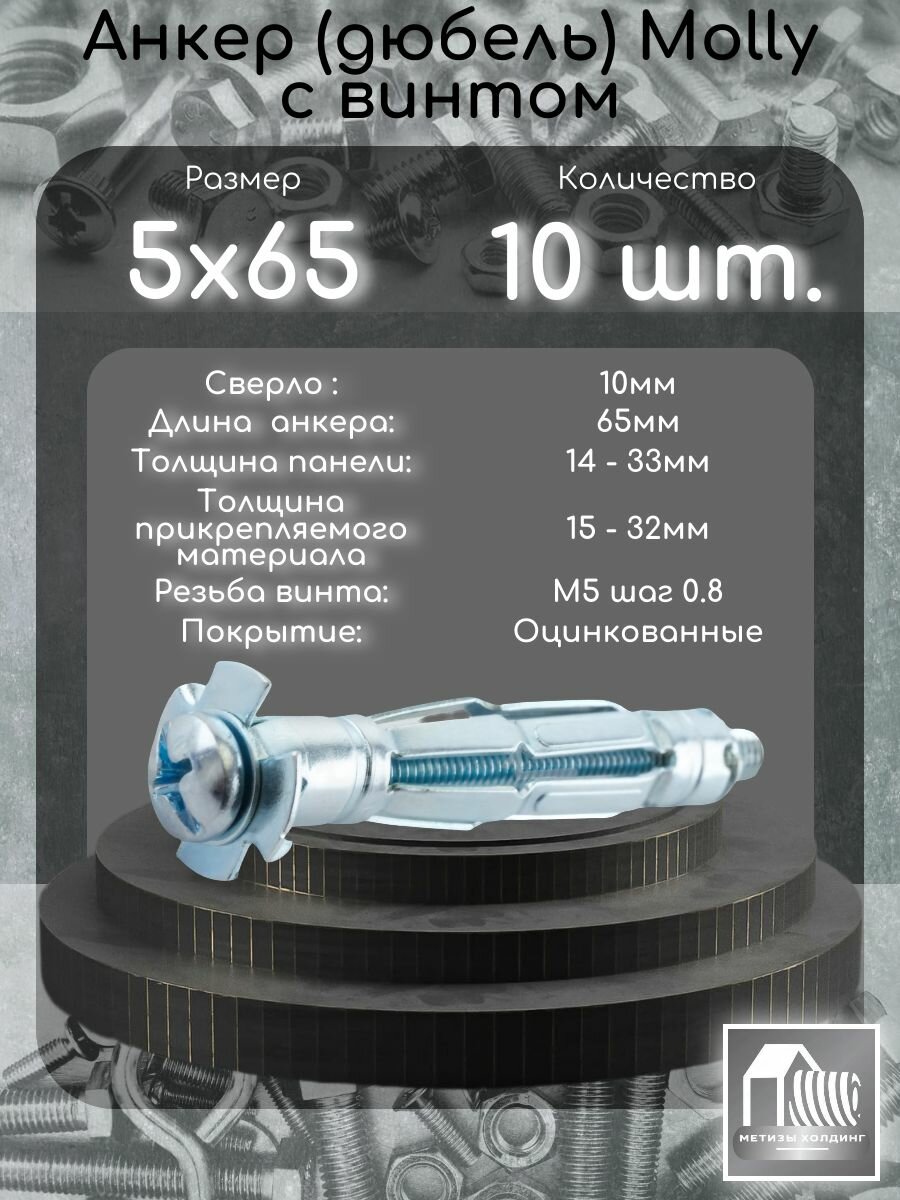 Анкер Молли 5х65 (Дюбель) с винтом для листовых материалов, комплект из 10 штук