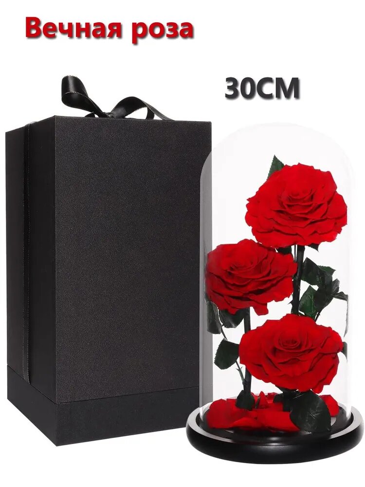 Стабилизированные цветы Пионовидная роза, 30 см, 1500 гр, 1 шт