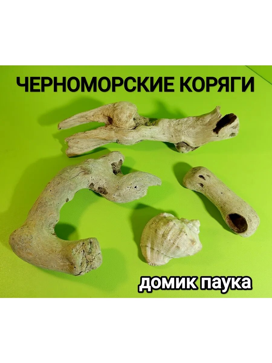 Коряги натуральные Черноморские домик паука для террариума